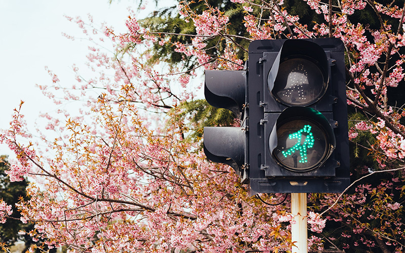 The traffic light system | Safer Travel